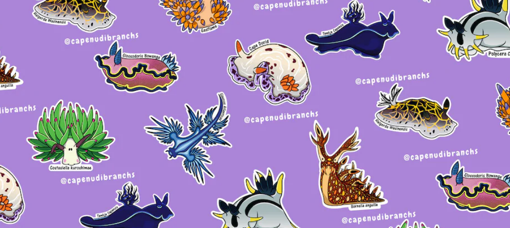 Nudibranchs – Cape Nudibranchs