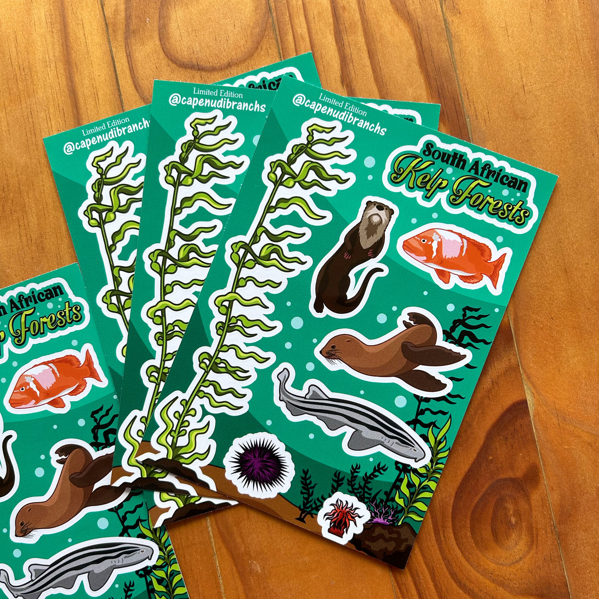 Kelp Forest Sticker Sheet – Cape Nudibranchs